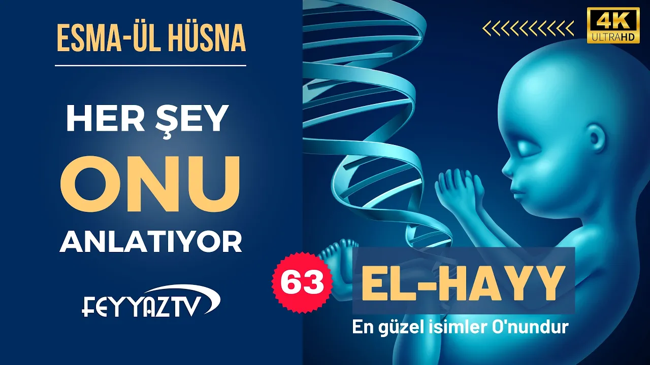 El- Hayy - Feyyaz Medresem